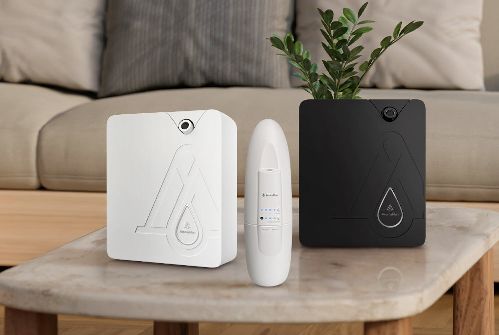 AromaPlan Official Store I The Best Scent Diffusers