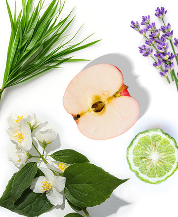 Bali Fragrance AP067 - AromaPlan